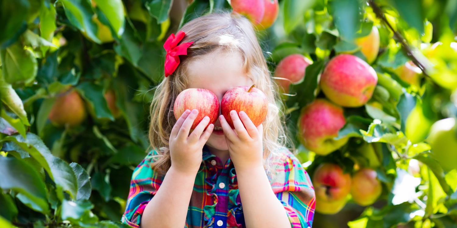 Foundation - First 2000 Days | Vitamix